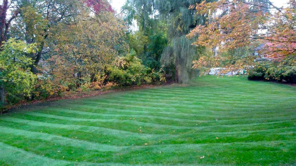 Full Landscape Maintenance Package